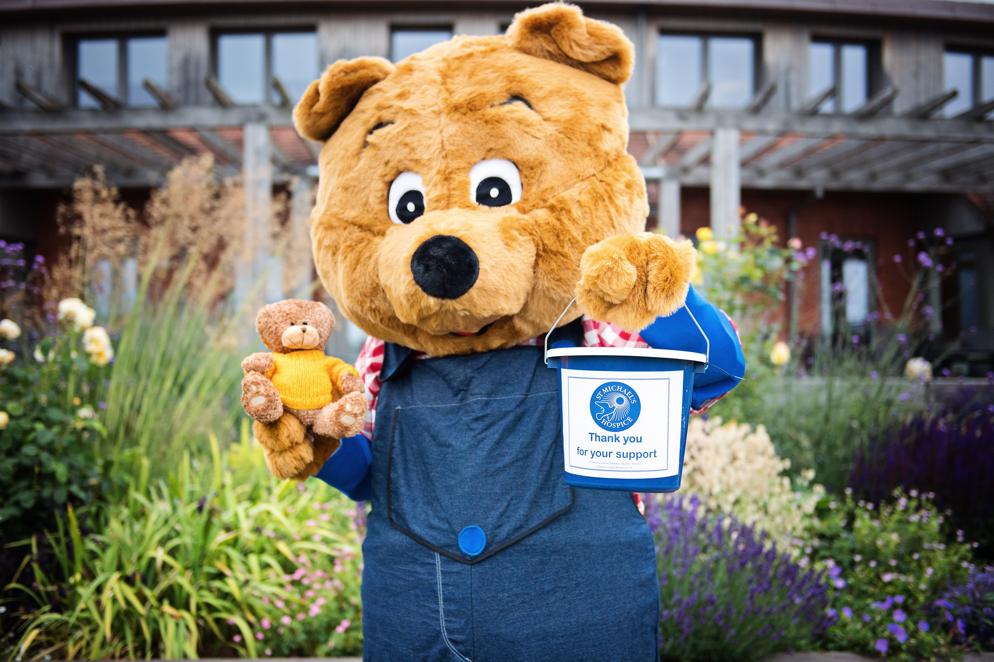 Benny Bear - St Michael's Hospice Mascot - St Michaels Hospice