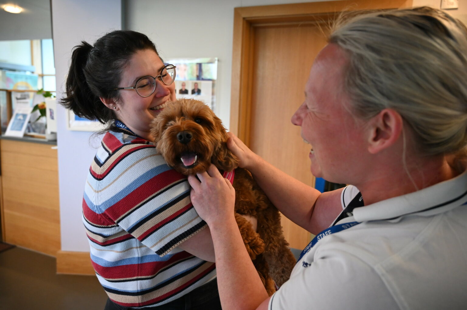 The power of therapeutic activities in hospice care - St Michaels Hospice