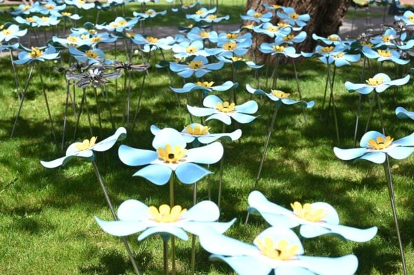 Forget-me-not display raises almost £20K - St Michaels Hospice